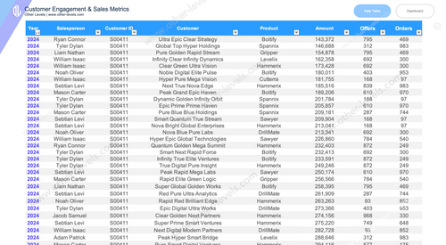 Customer Engagement & Sales Metrics Report – Other Levels