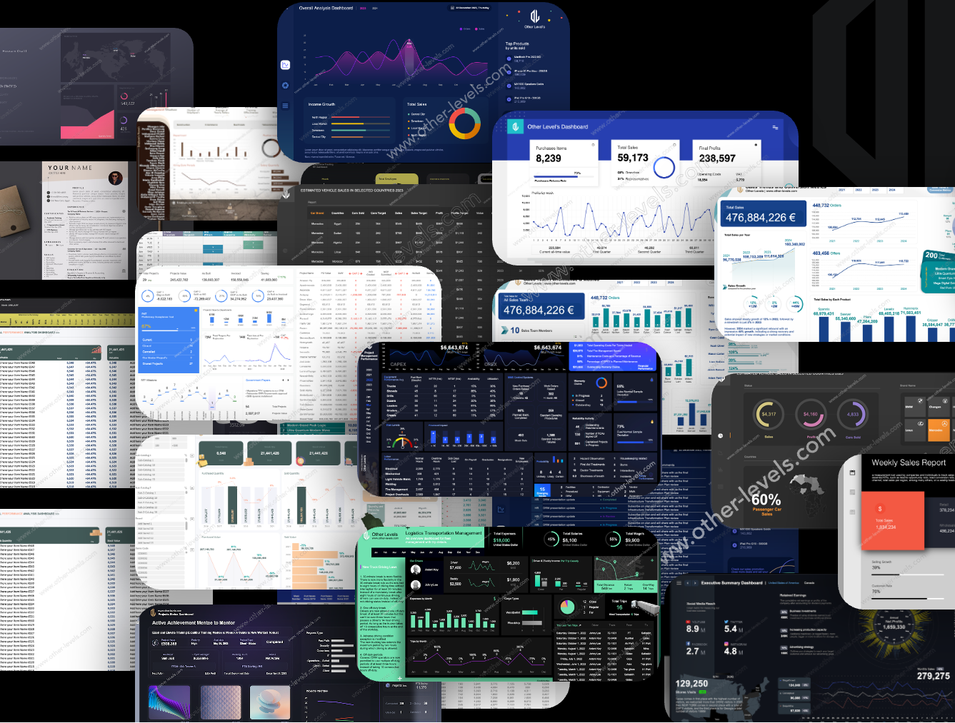 Excel Dashboard Templates and Custom Dashboards - Other Levels